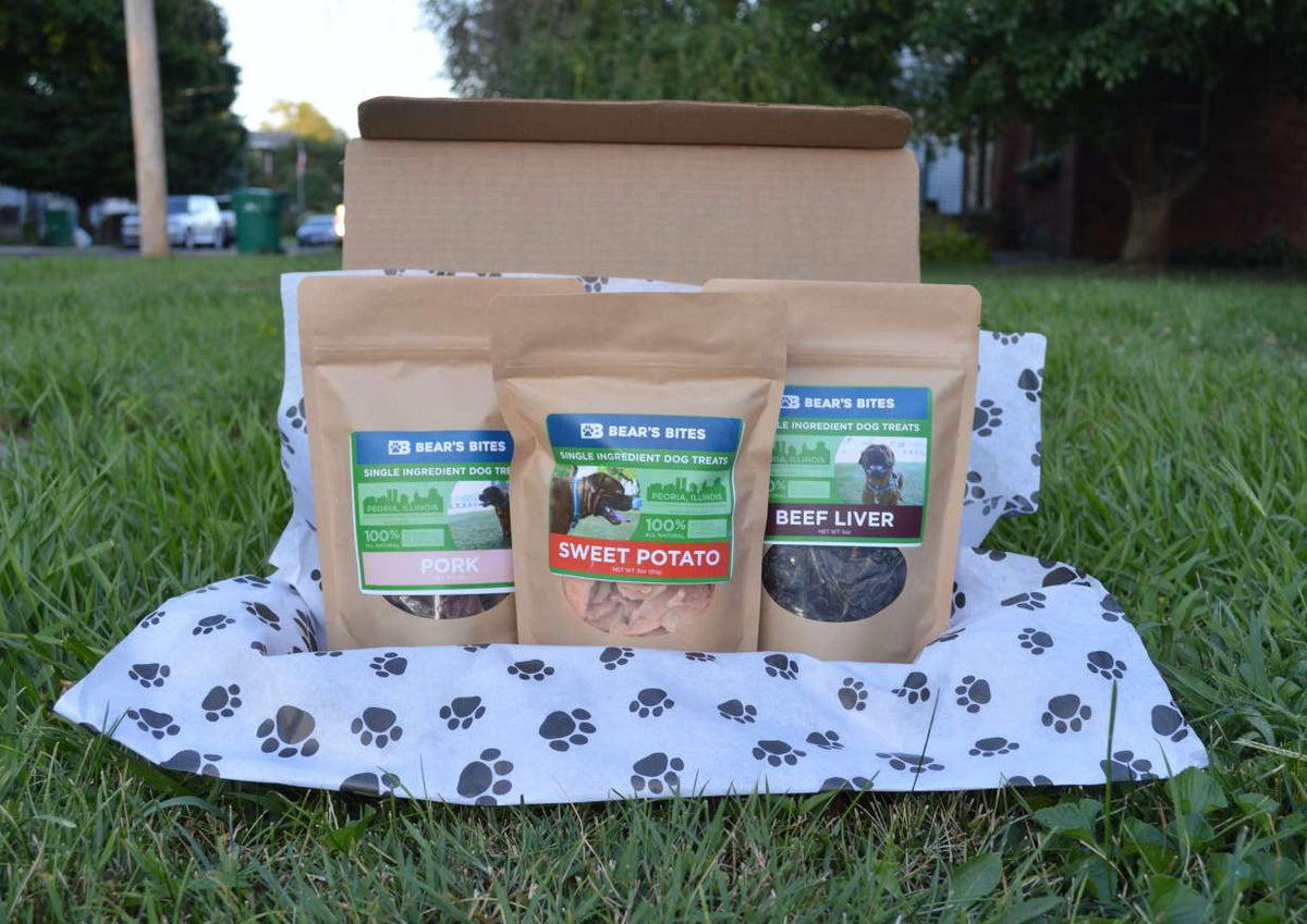 Medium Monthly Bite Box – Bear's Bites